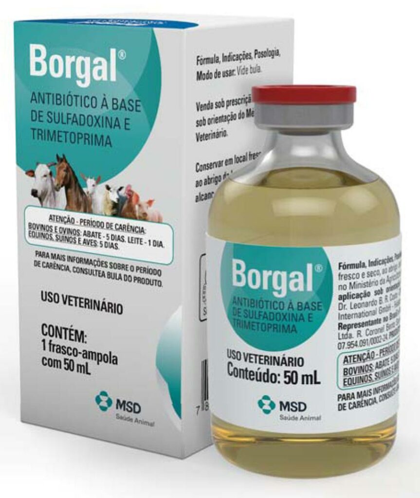 Borgal Injetável 50ml - Intersul